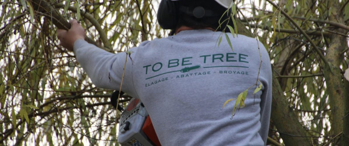 To Be Tree | Élagage, Abattage, Aménagement Extérieur